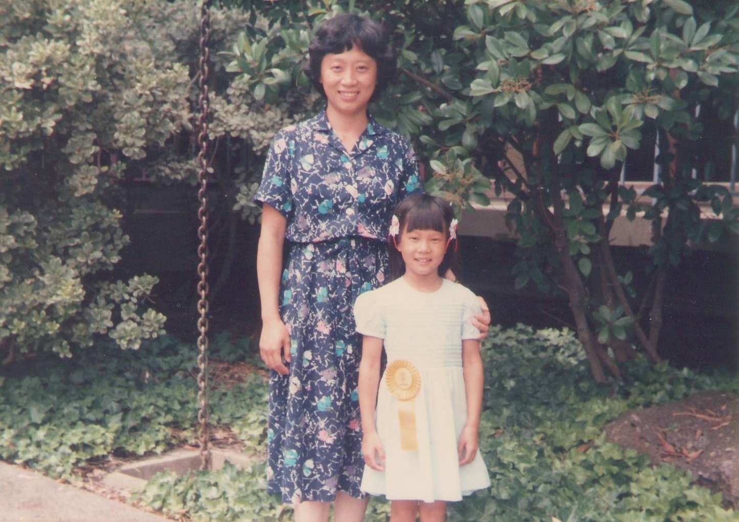 Amy Chow: Olympian, Physician, and 2003 Paul & Daisy Soros Fellow ...